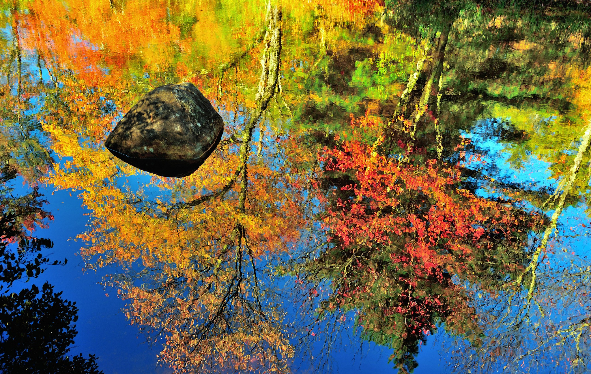 Vibrant Fall Reflections: Colorful Trees Mirror Nature’s Beauty in HD