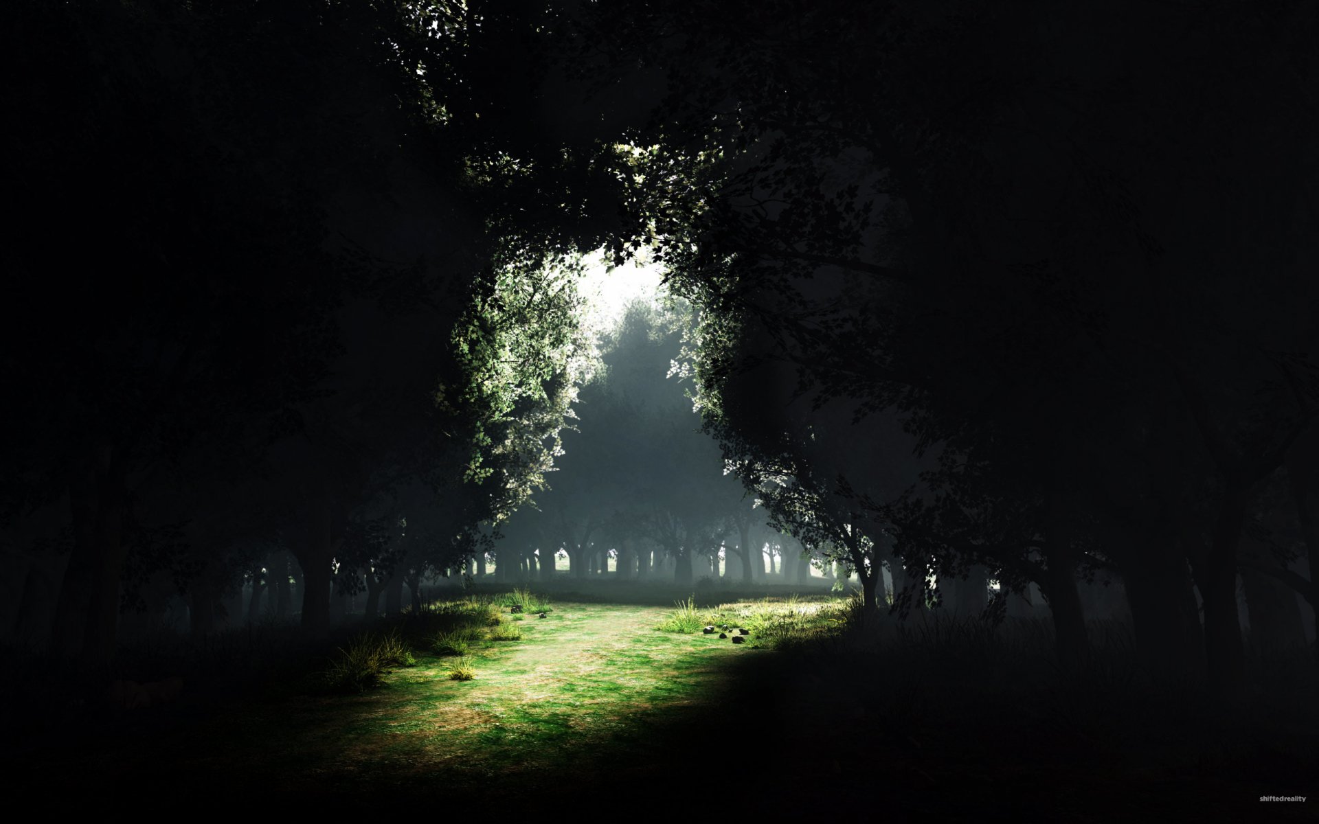 Serene Meadow: A Dark Nature Escape - HD Wallpaper