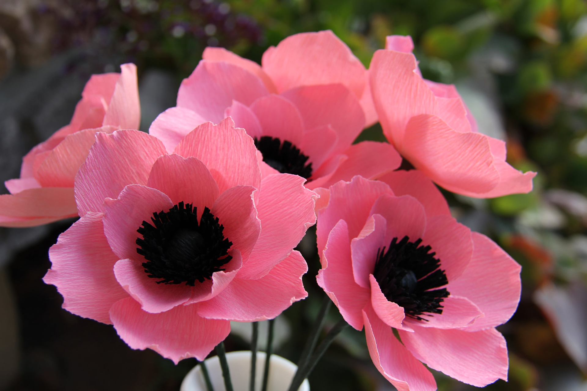 Background Assorted Anemone Flowers