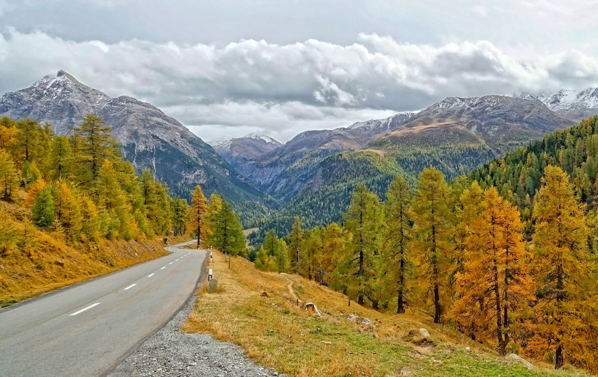 Golden Pass: Road to Cloud-Capped Peaks Through Autumn Forest — HD ...