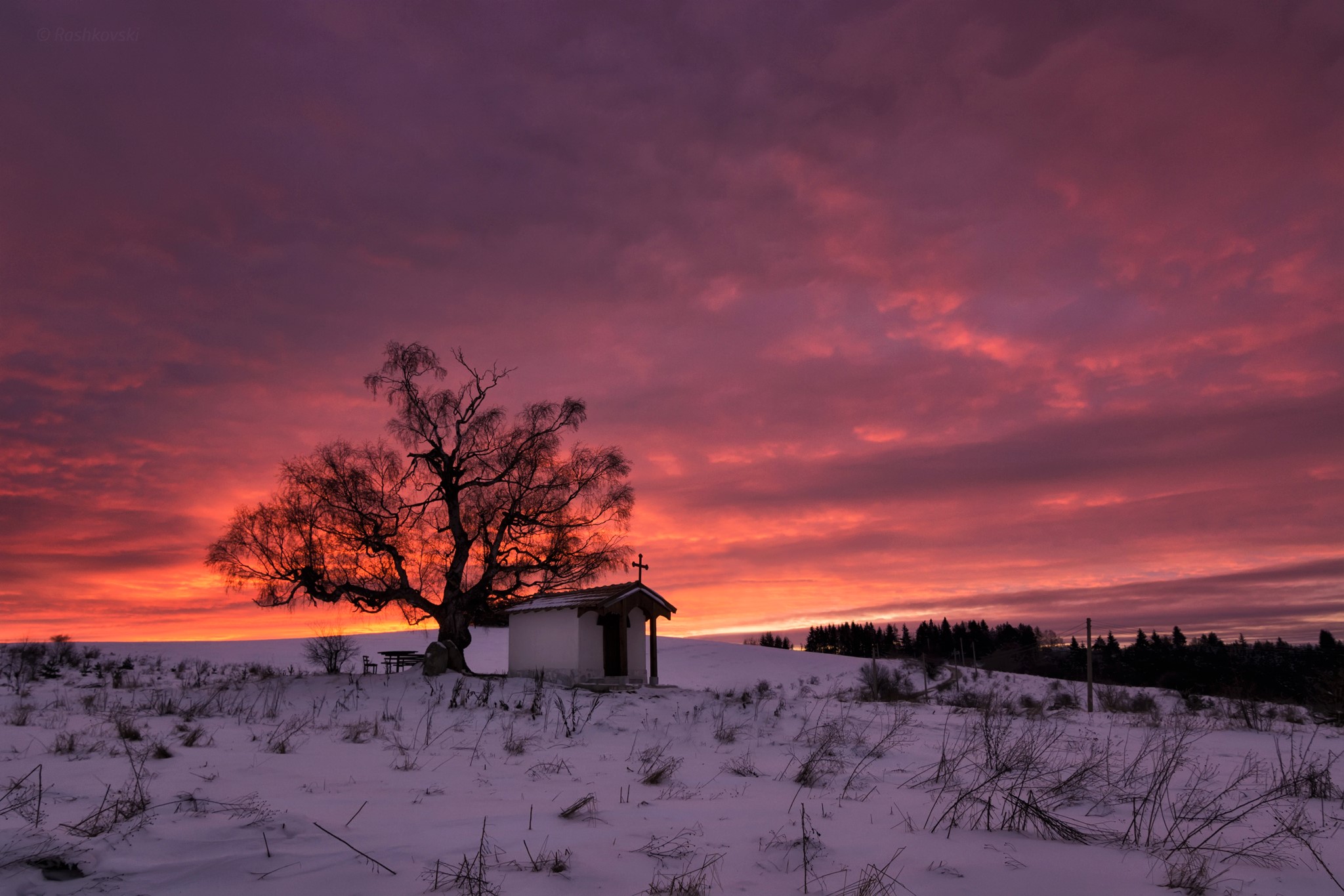 Download Colorful Forest Fall Steeple Church Religious Chapel HD Wallpaper