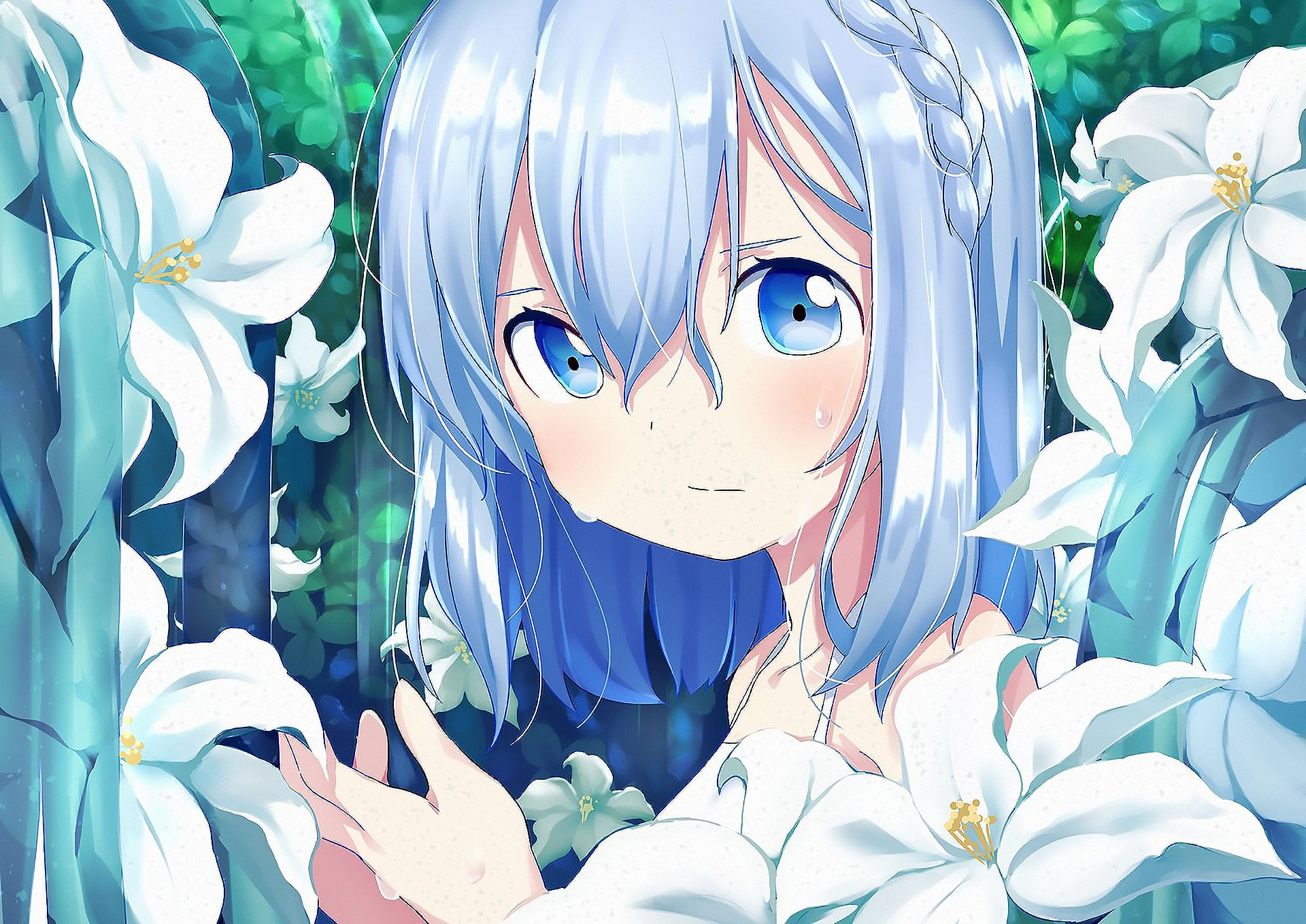 Download Flower Blue Hair Blue Eyes Anime Original HD Wallpaper by 鈴木もえこ