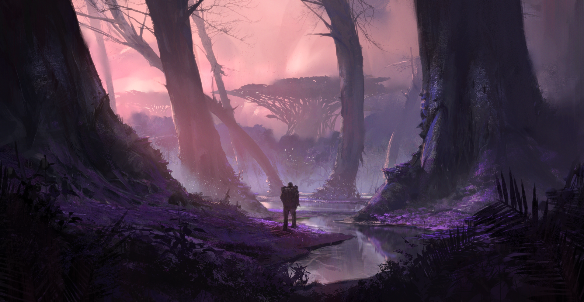 Download Fantasy Forest HD Wallpaper by Steve Chinhsuan Wang