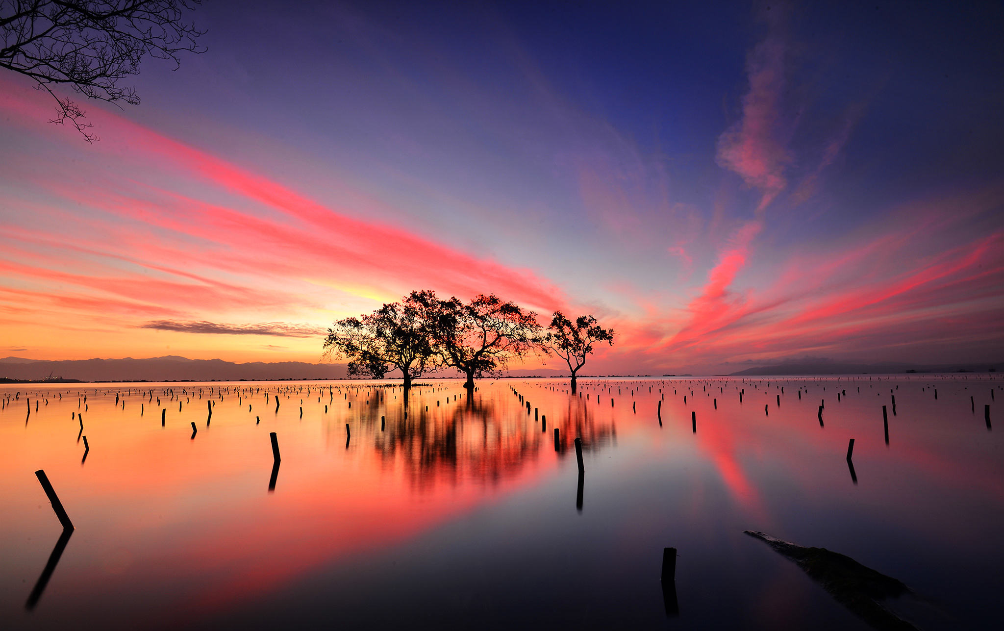 Download Lake Sunset Sky Tree Nature Reflection HD Wallpaper