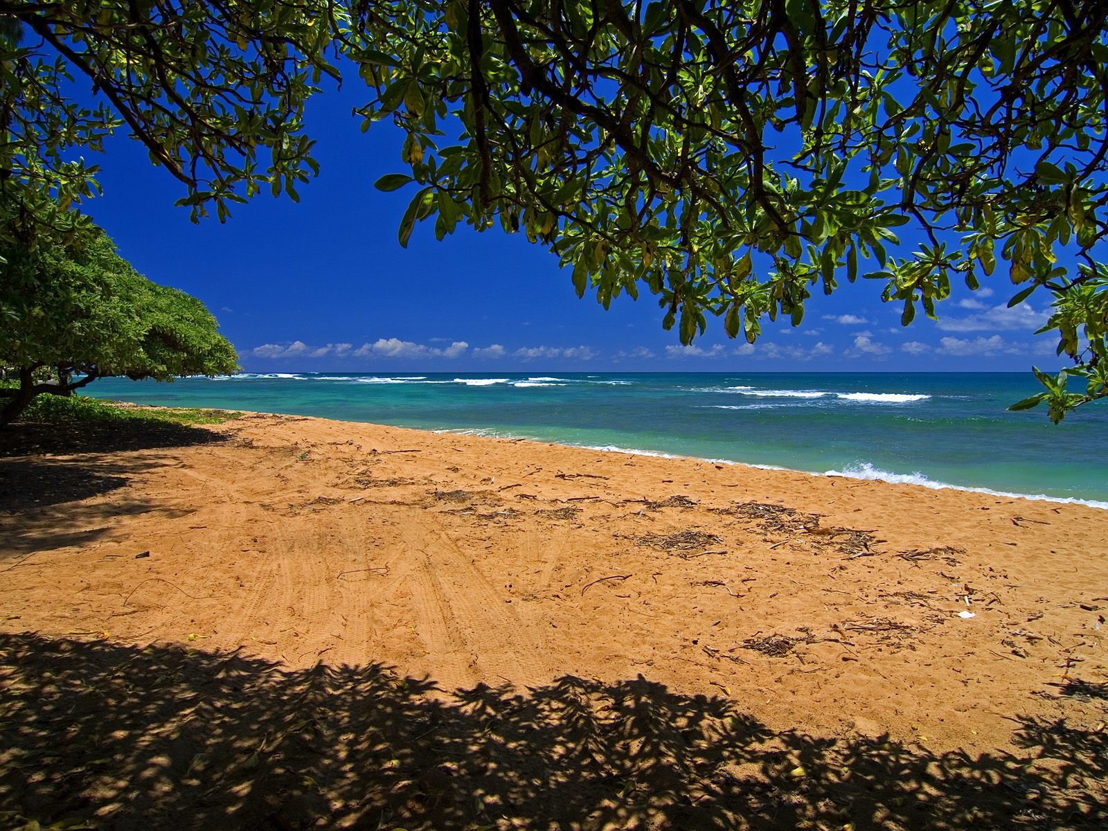 Download Nature Beach Wallpaper | 1600x1200 | Wallpaper Abyss