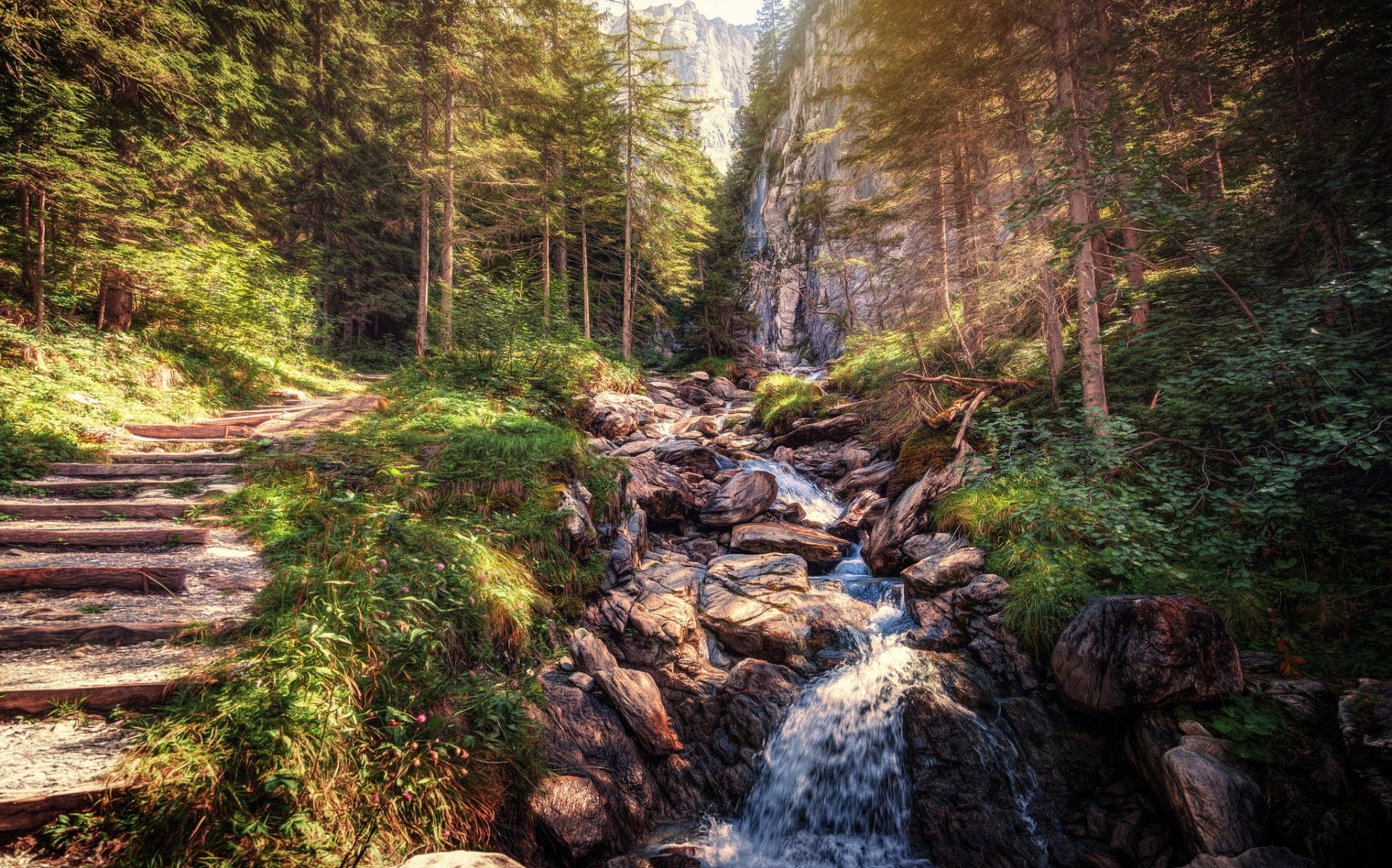 Sunlit Forest Path & Mountain Stream — HD Nature Wallpaper