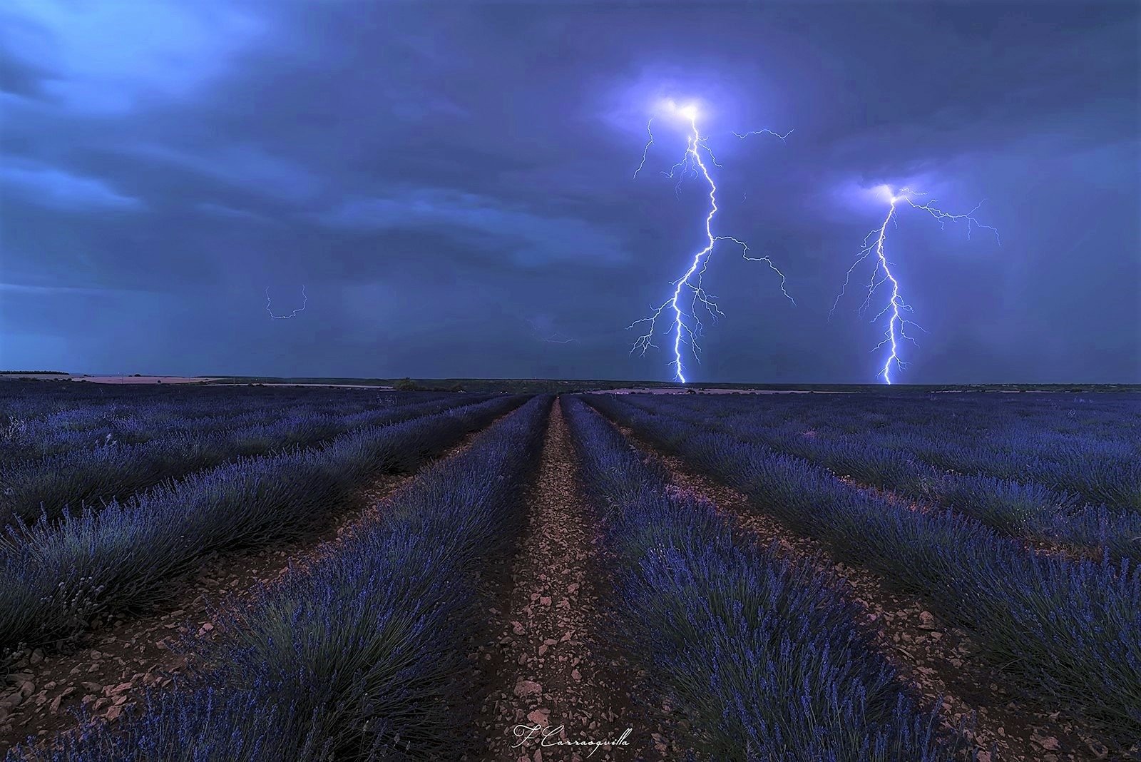 Download Sky Storm Lavender Photography Lightning Wallpaper by Felipe ...