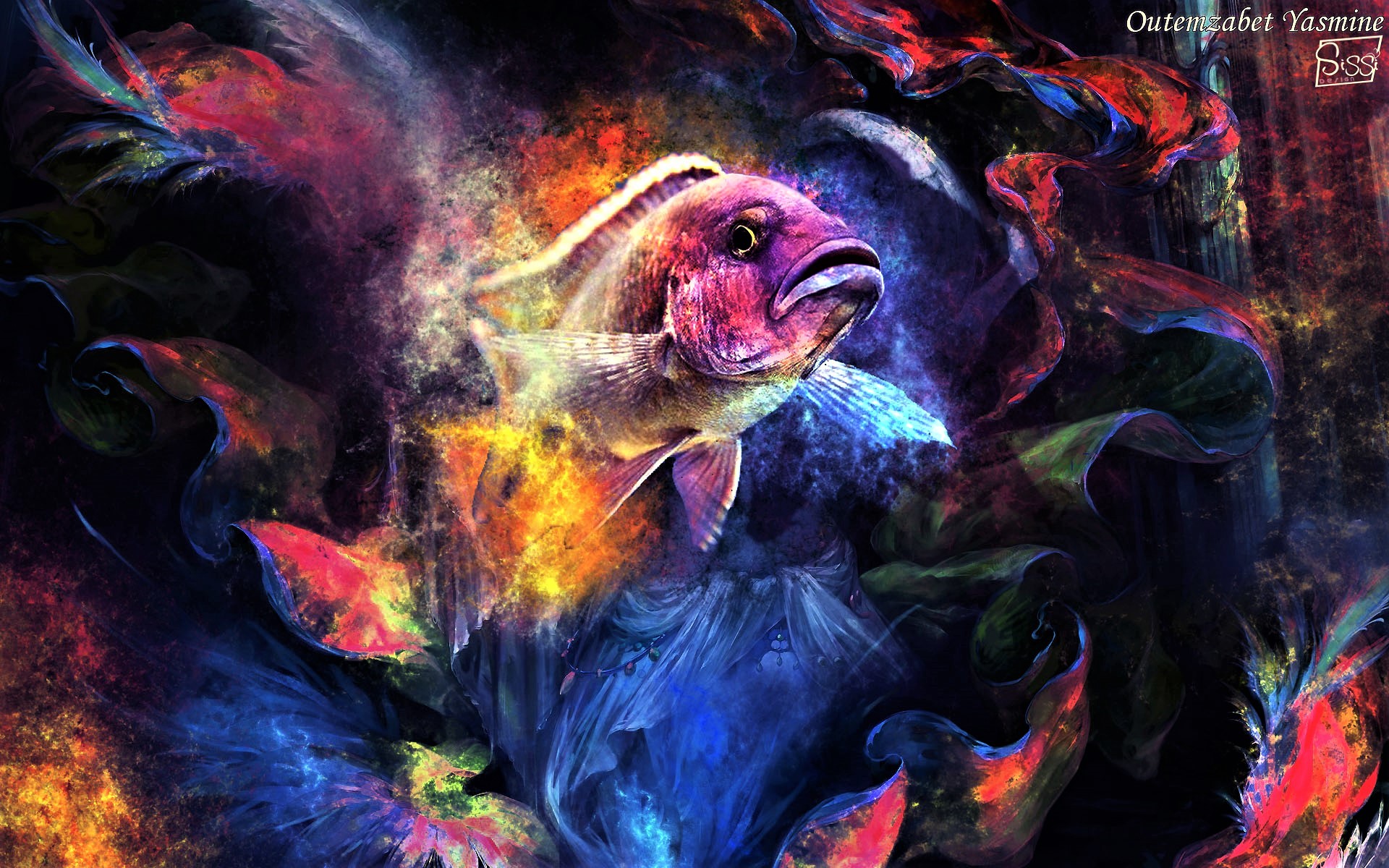 Download Colorful Animal Fish HD Wallpaper by Outemzabet Yasmine