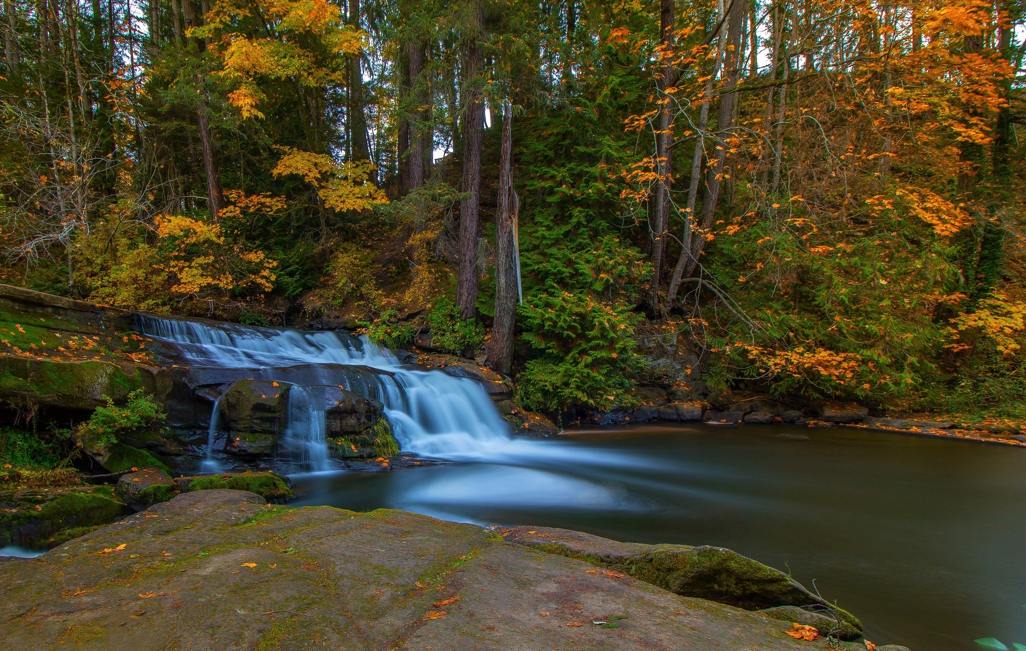 Download Nature Fall Forest Waterfall HD Wallpaper
