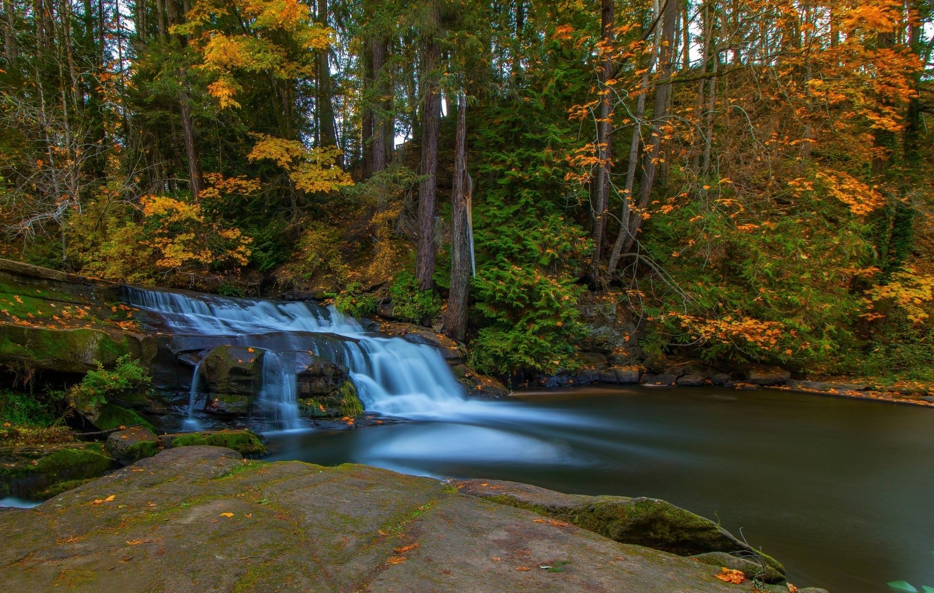 Download Nature Fall Forest Waterfall HD Wallpaper