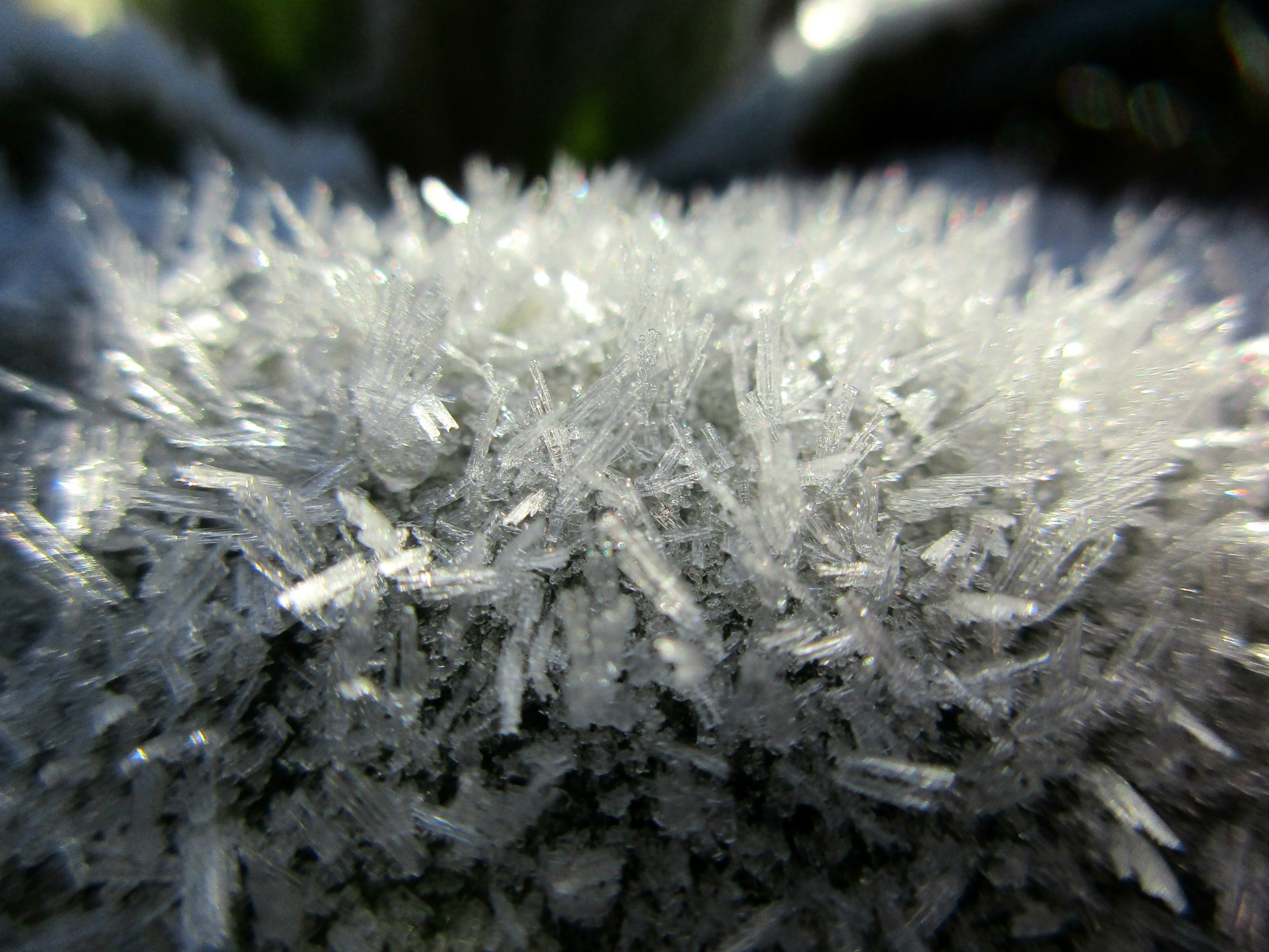 Ice Crystals, Close-Up by Trissha