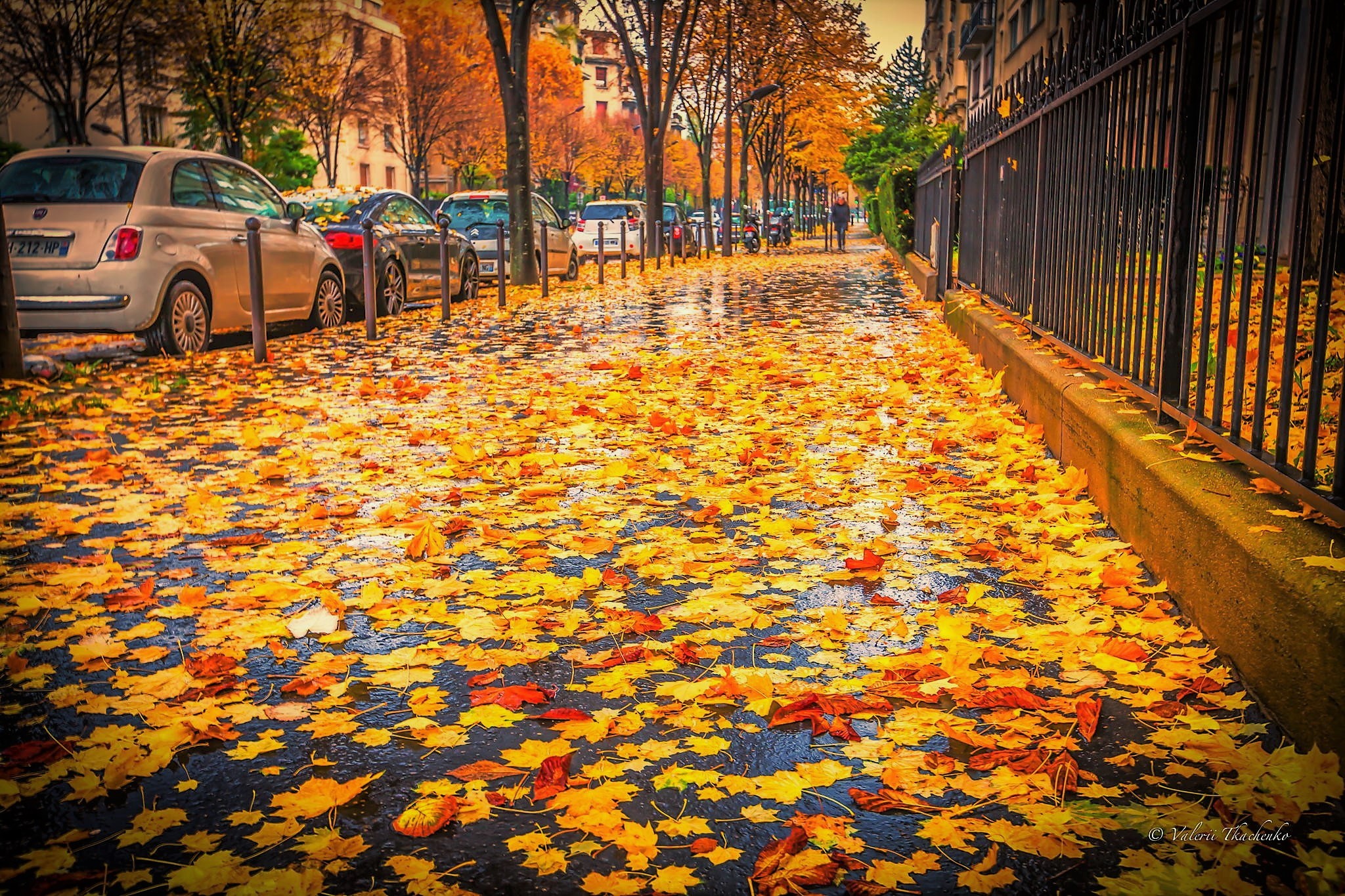 Download Car Sidewalk Leaf Photography Fall HD Wallpaper