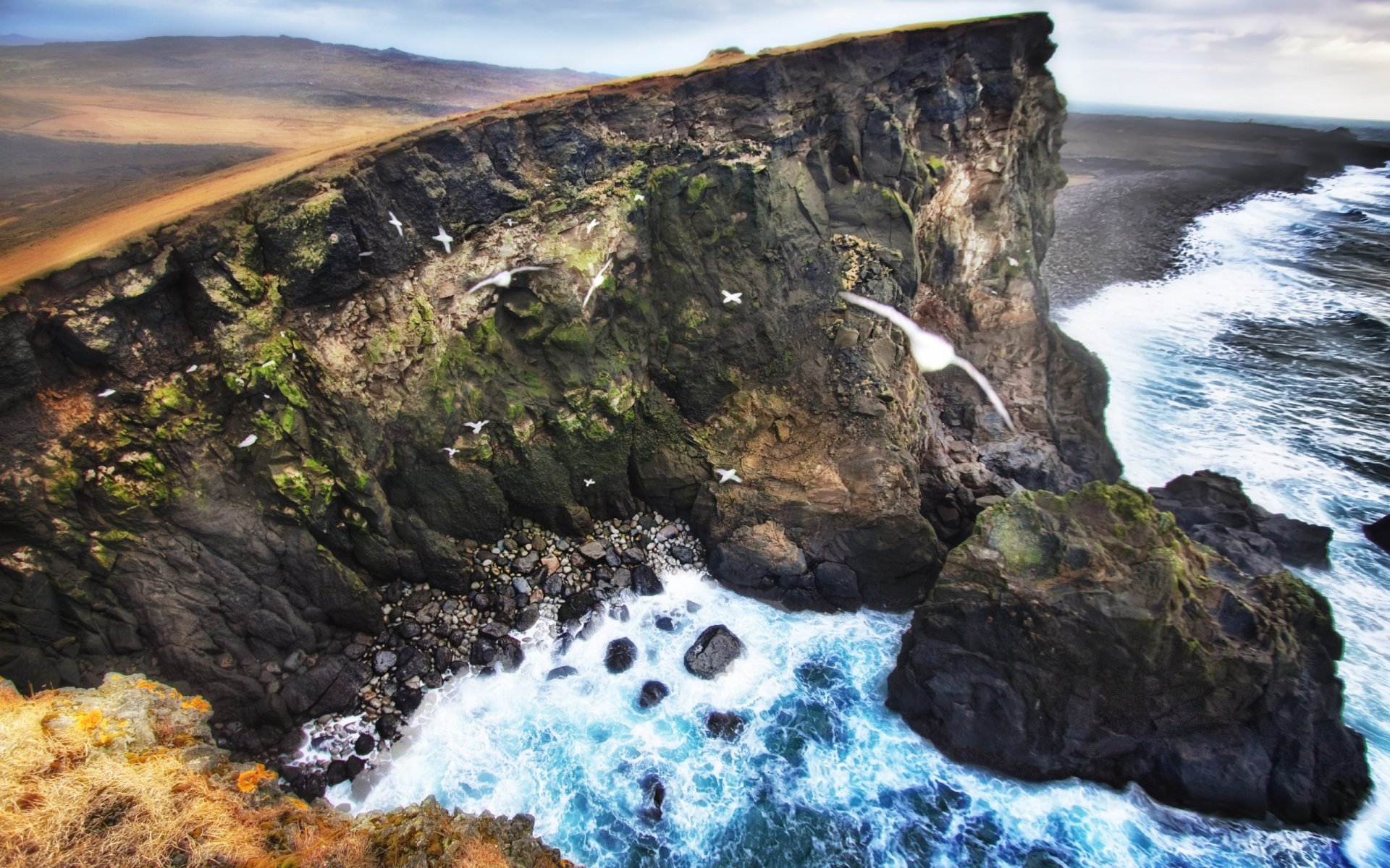 Download Nature Cliff HD Wallpaper