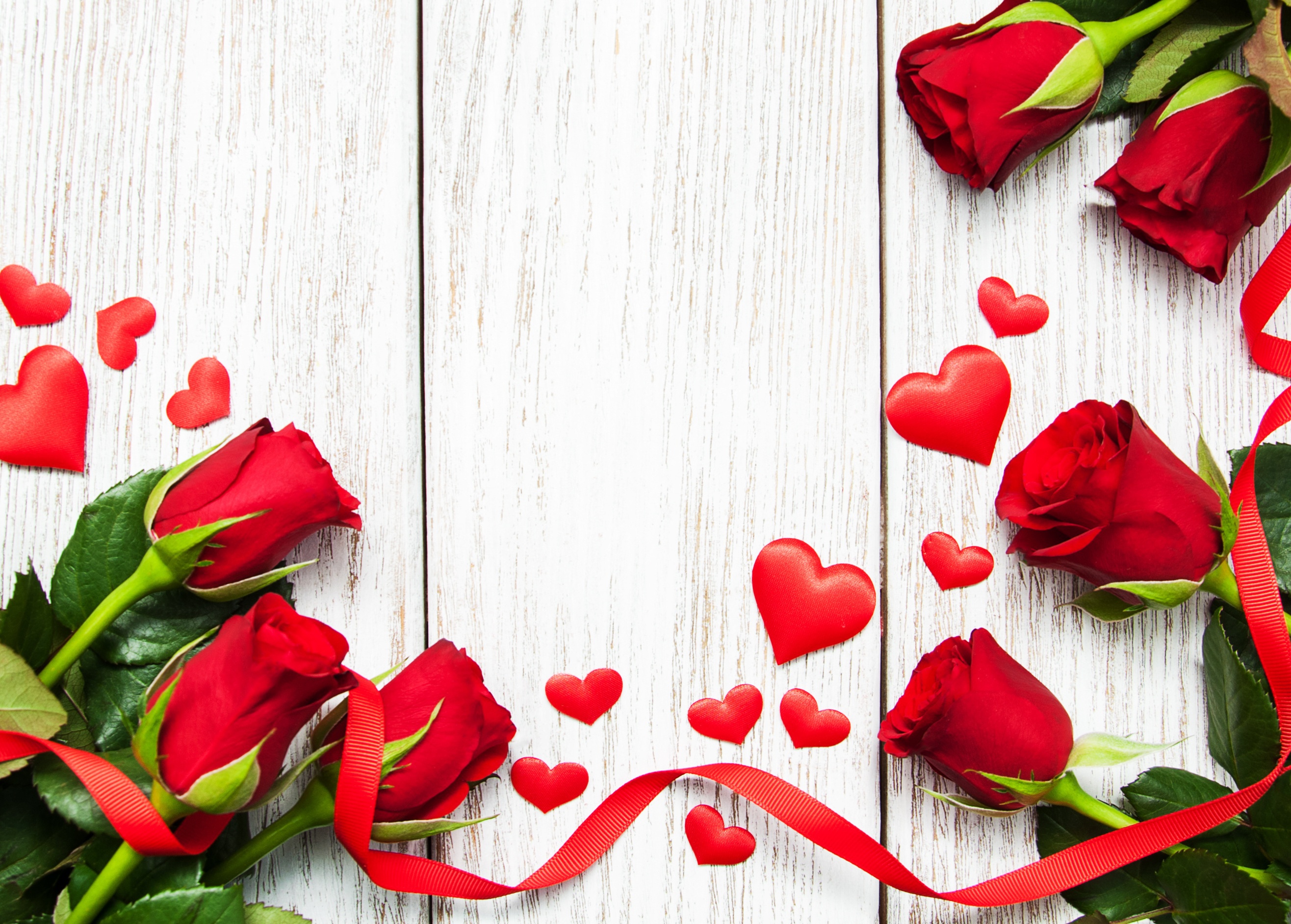 Romantic Red Roses: HD Wallpaper for Valentine's Day
