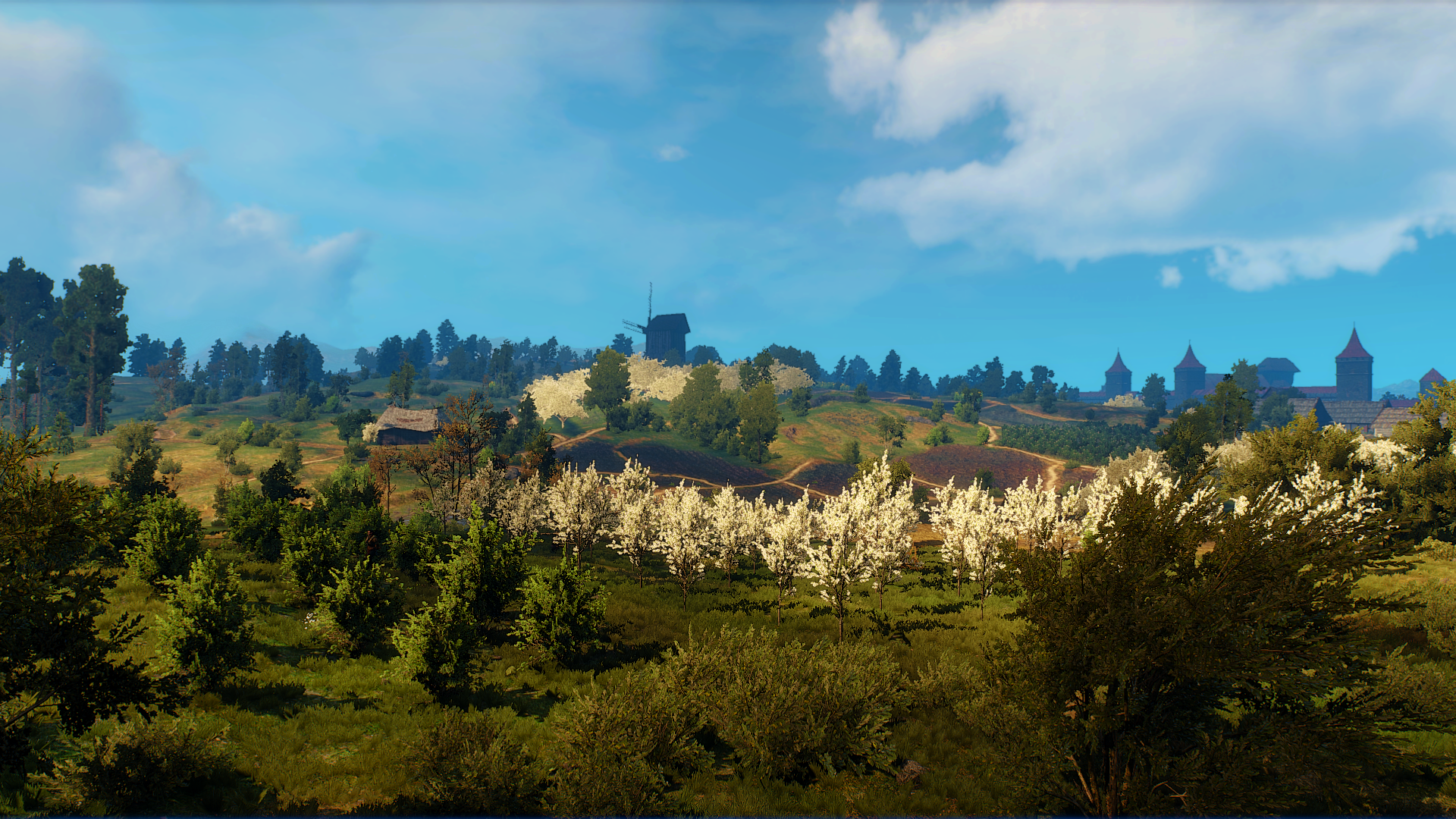 The Witcher 3 HD Wallpaper: Scenic Wild Hunt Landscape View