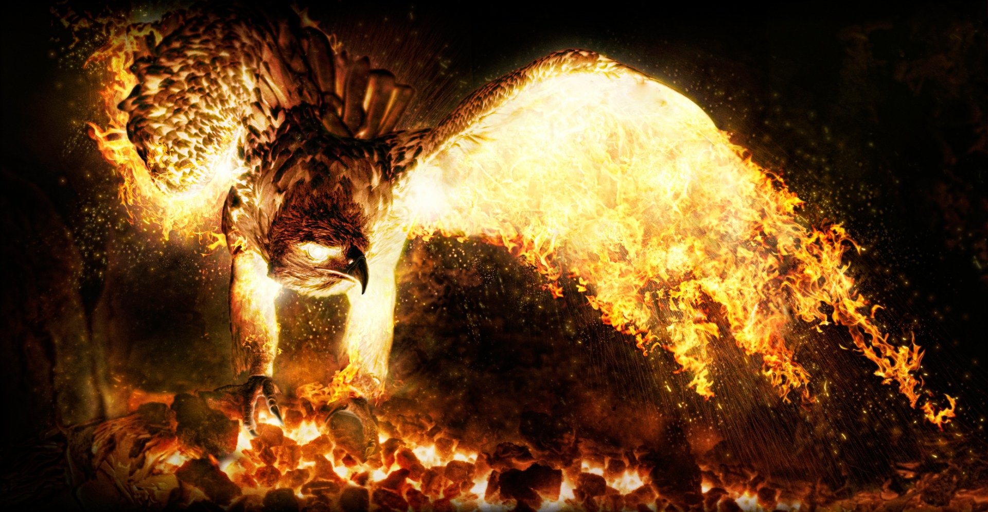 Download Flame Fire Eagle Bird Of Prey Bird Photography Manipulation HD ...