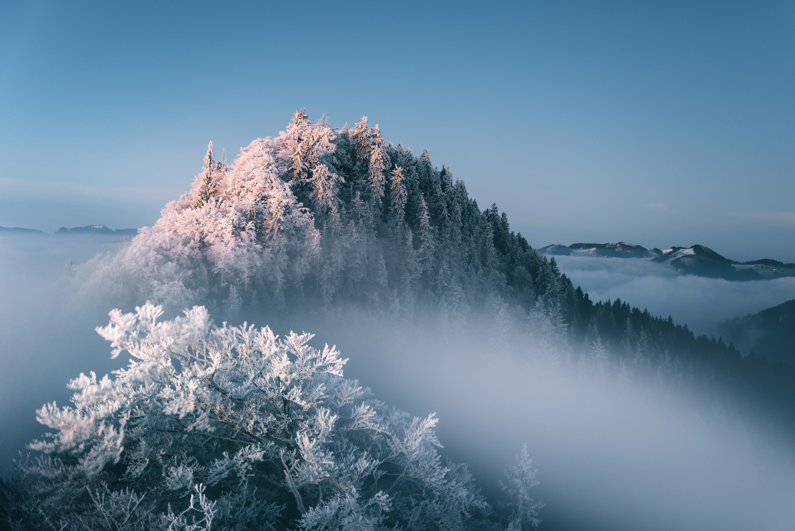 Download Winter Nature Fog HD Wallpaper