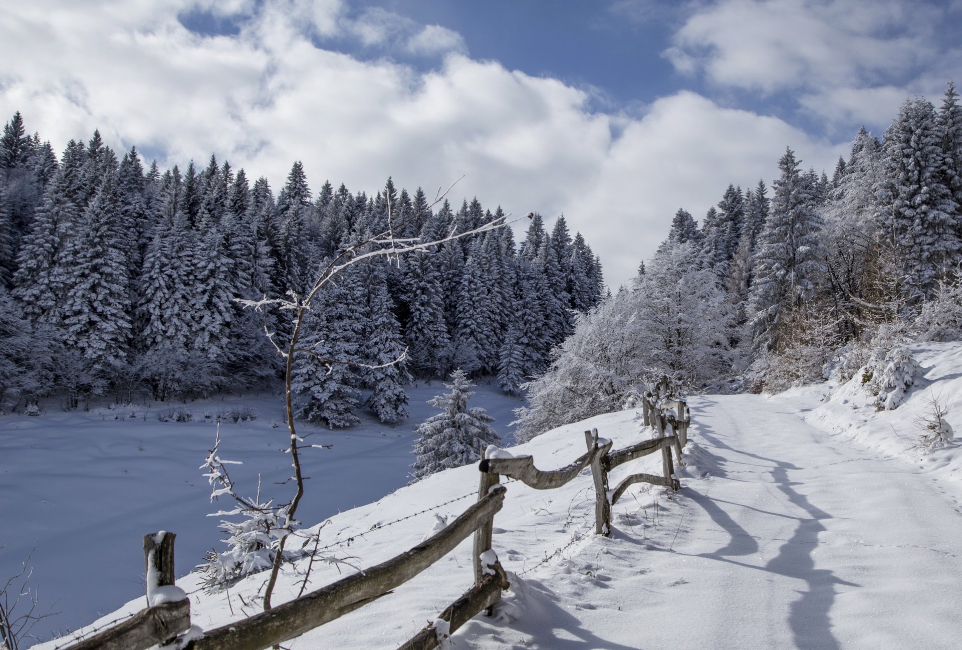 Winter Pathway: Serene Snowy Fence in Nature’s HD Embrace