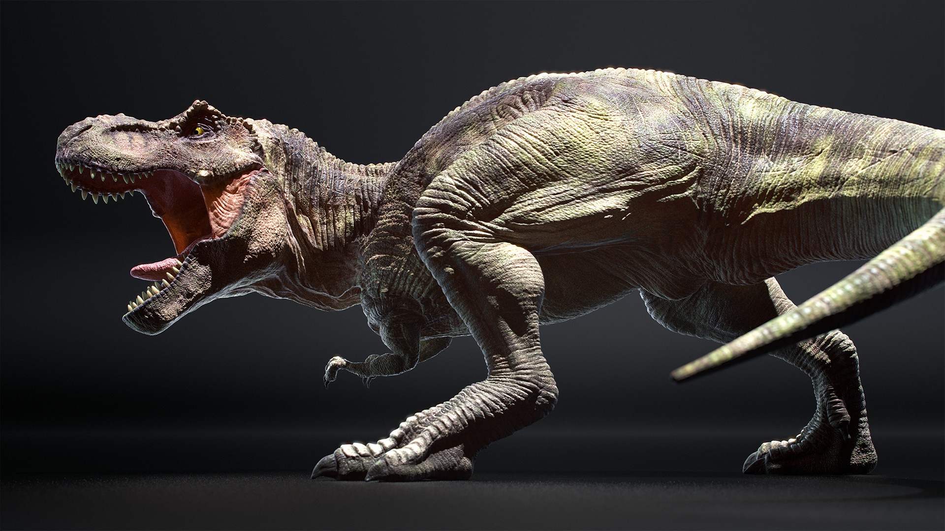 Animal Tyrannosaurus Rex HD Wallpaper Animal Tyrannosaurus Rex HD Wallpaper