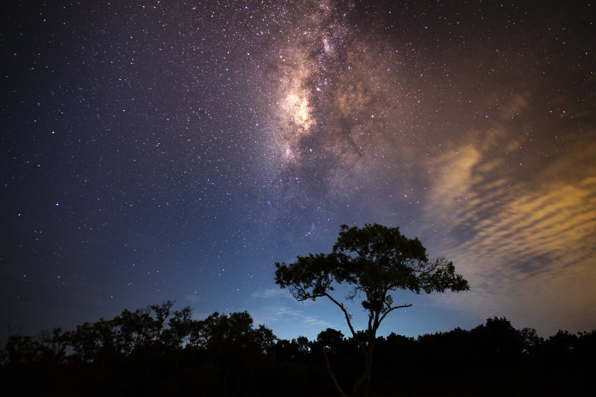 4K Ultra HD — Sci‑Fi Milky Way Night Over Lone Tree | 4000x2668 ...