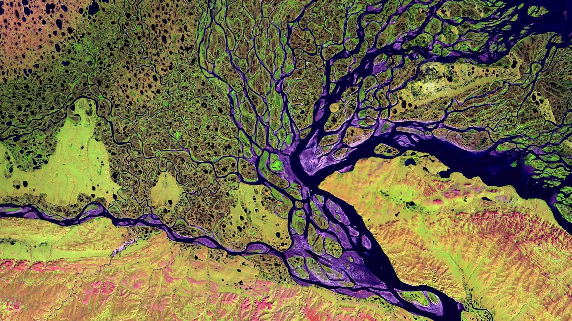 Aerial HD View: Vibrant River Network Photography