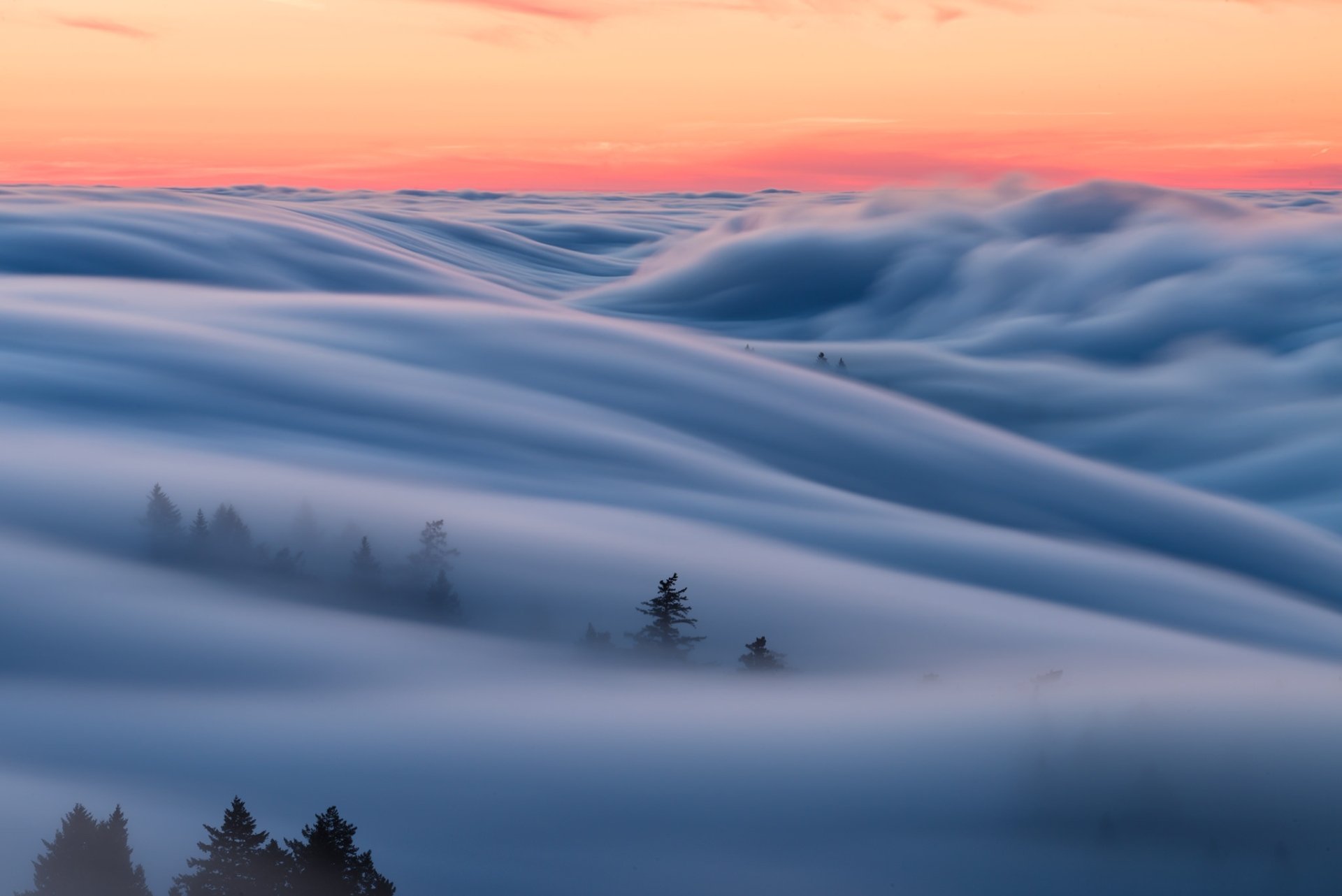 Sunset Over Fog: Serene Landscape HD Wallpaper