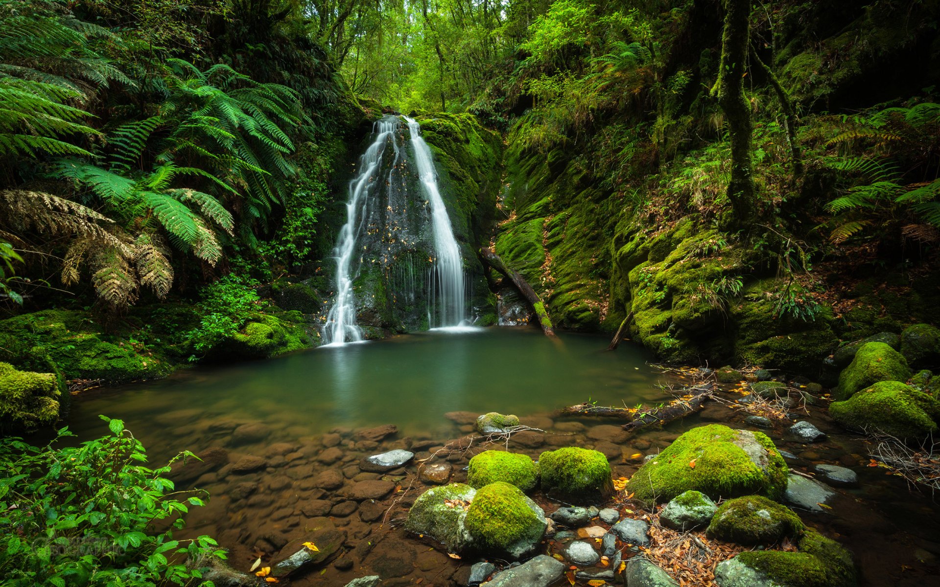 Green Moss Waterfall 4k Wallpapers Hd Wallpapers Id 18535