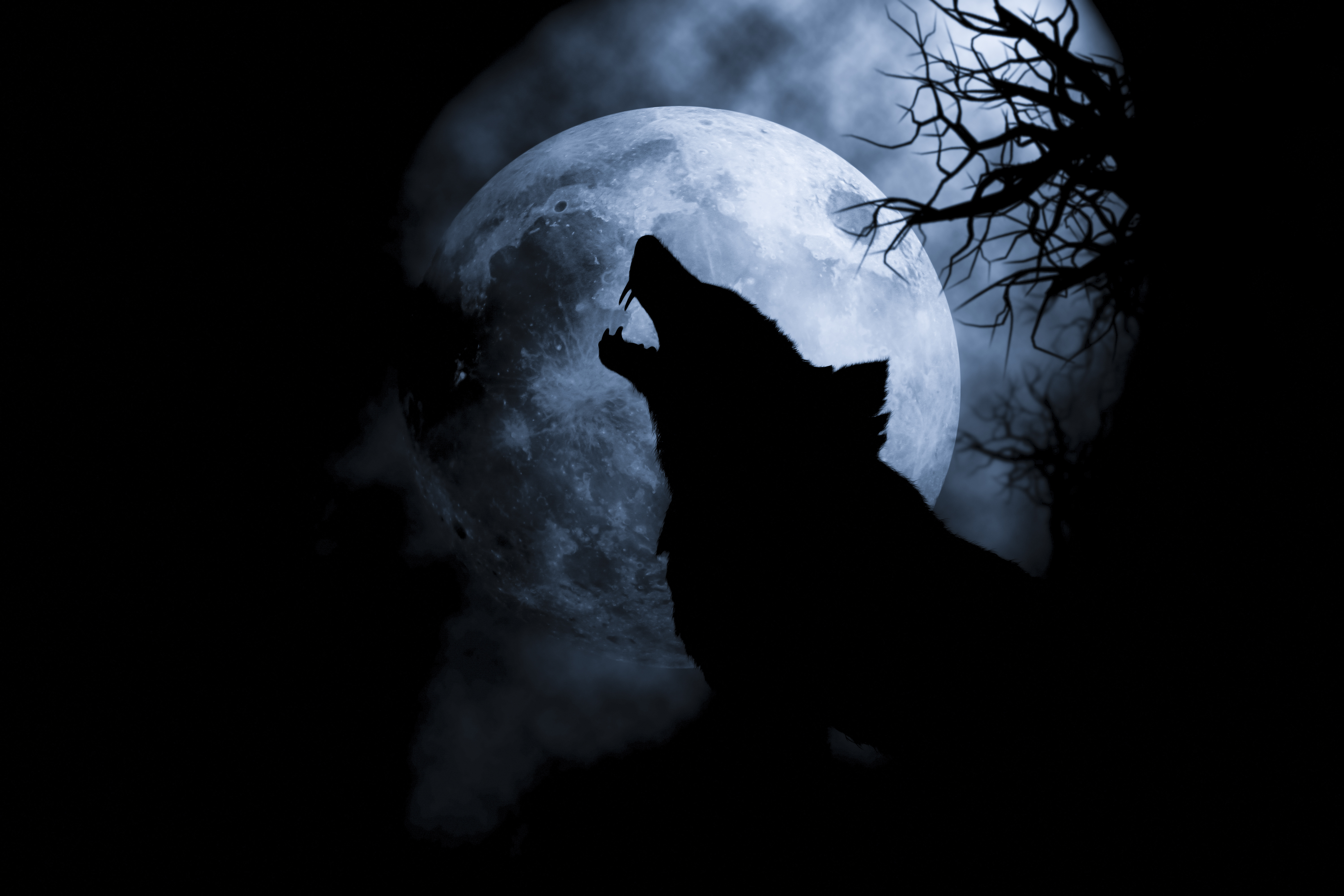 4K Ultra HD Fantasy Wolf Howl Under the Moon