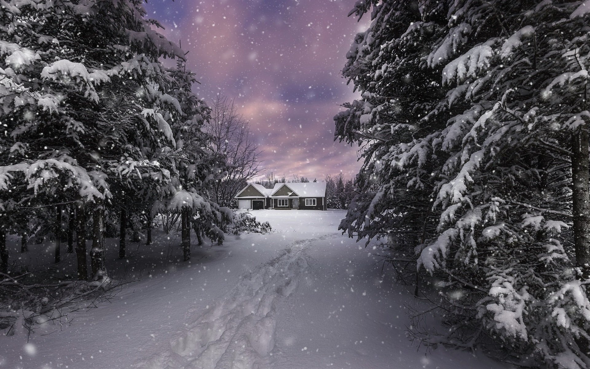 Download Snowflake House Tree Snow Path Earth Photography Winter HD ...