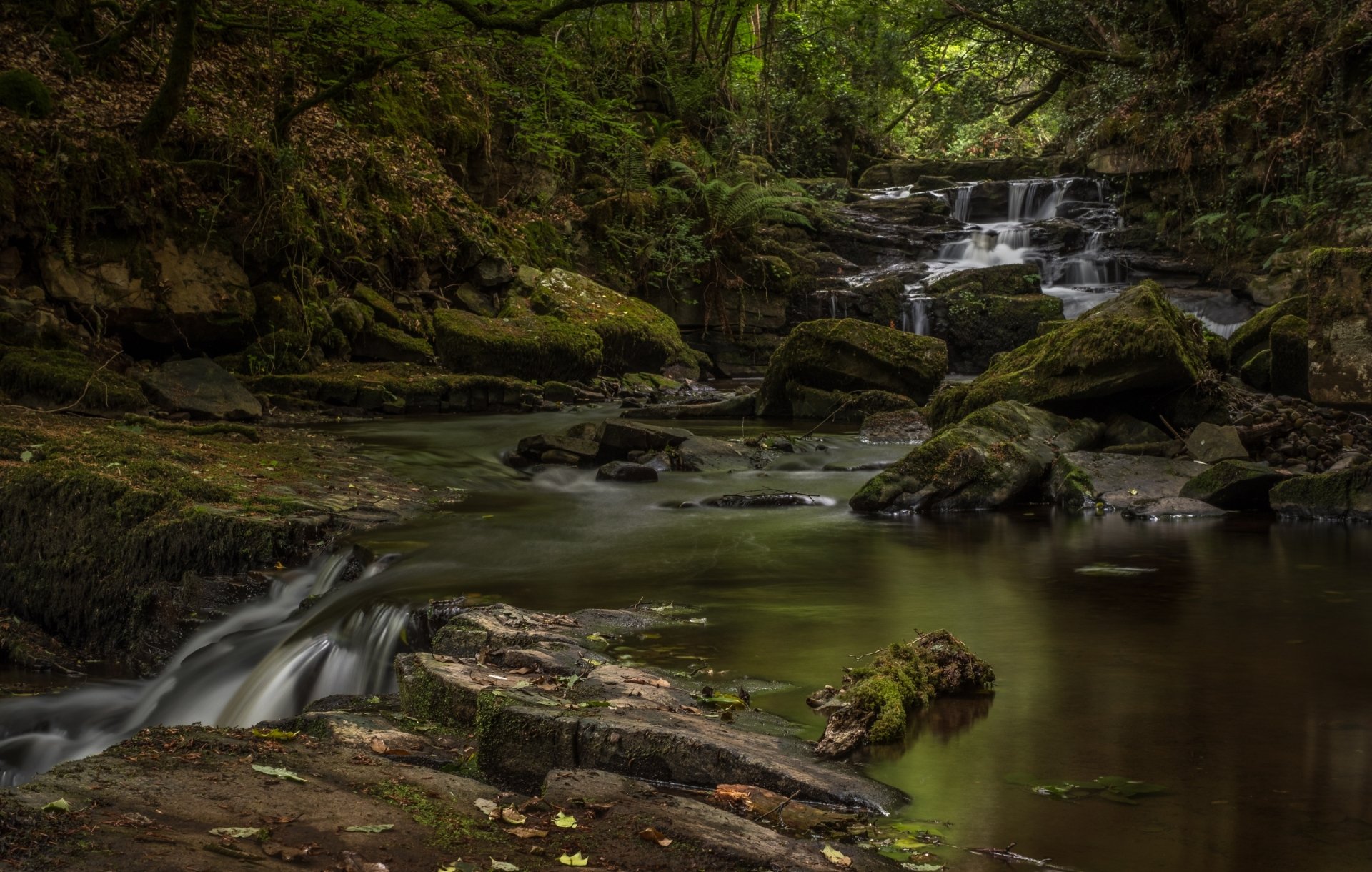 Download Nature Stream HD Wallpaper