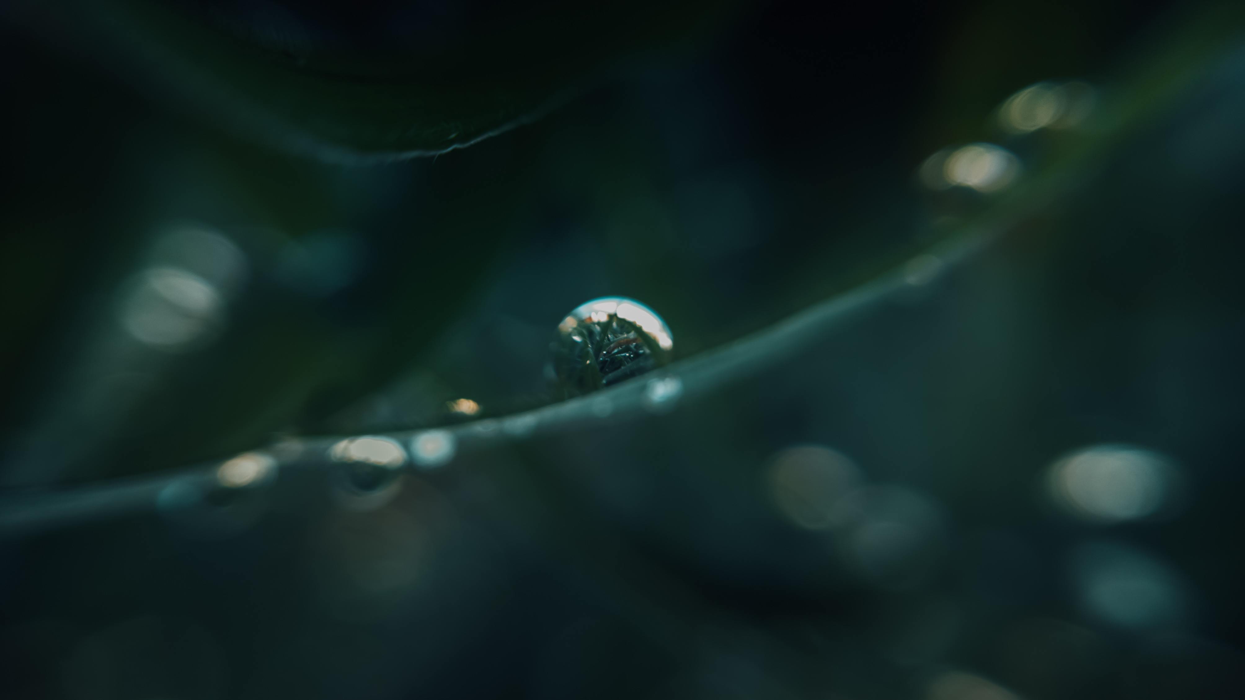 Download Reflection Macro Nature Water Drop 4k Ultra HD Wallpaper