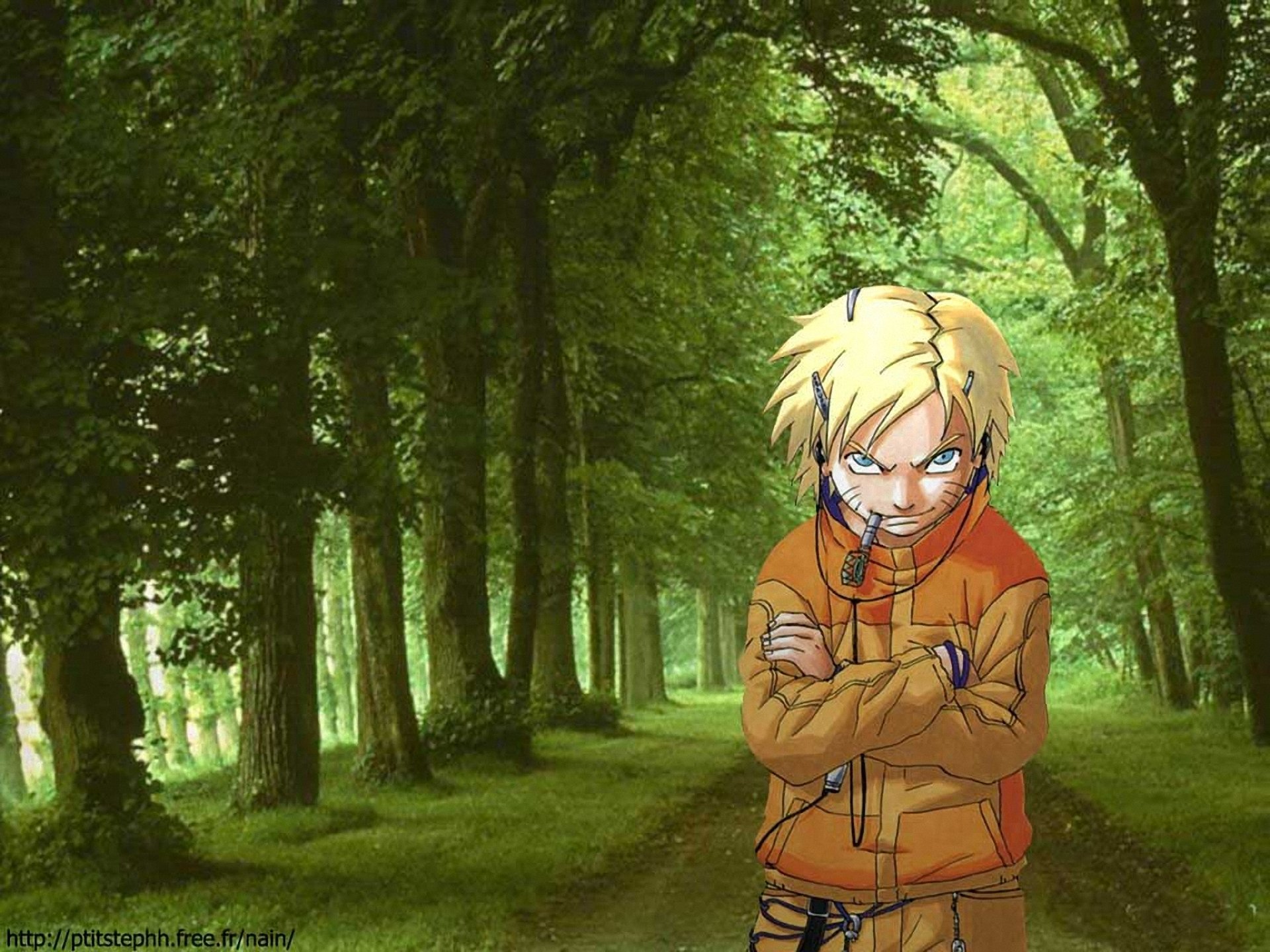 Naruto Uzumaki HD Wallpaper – Iconic Anime Hero in a Mystical Forest ...