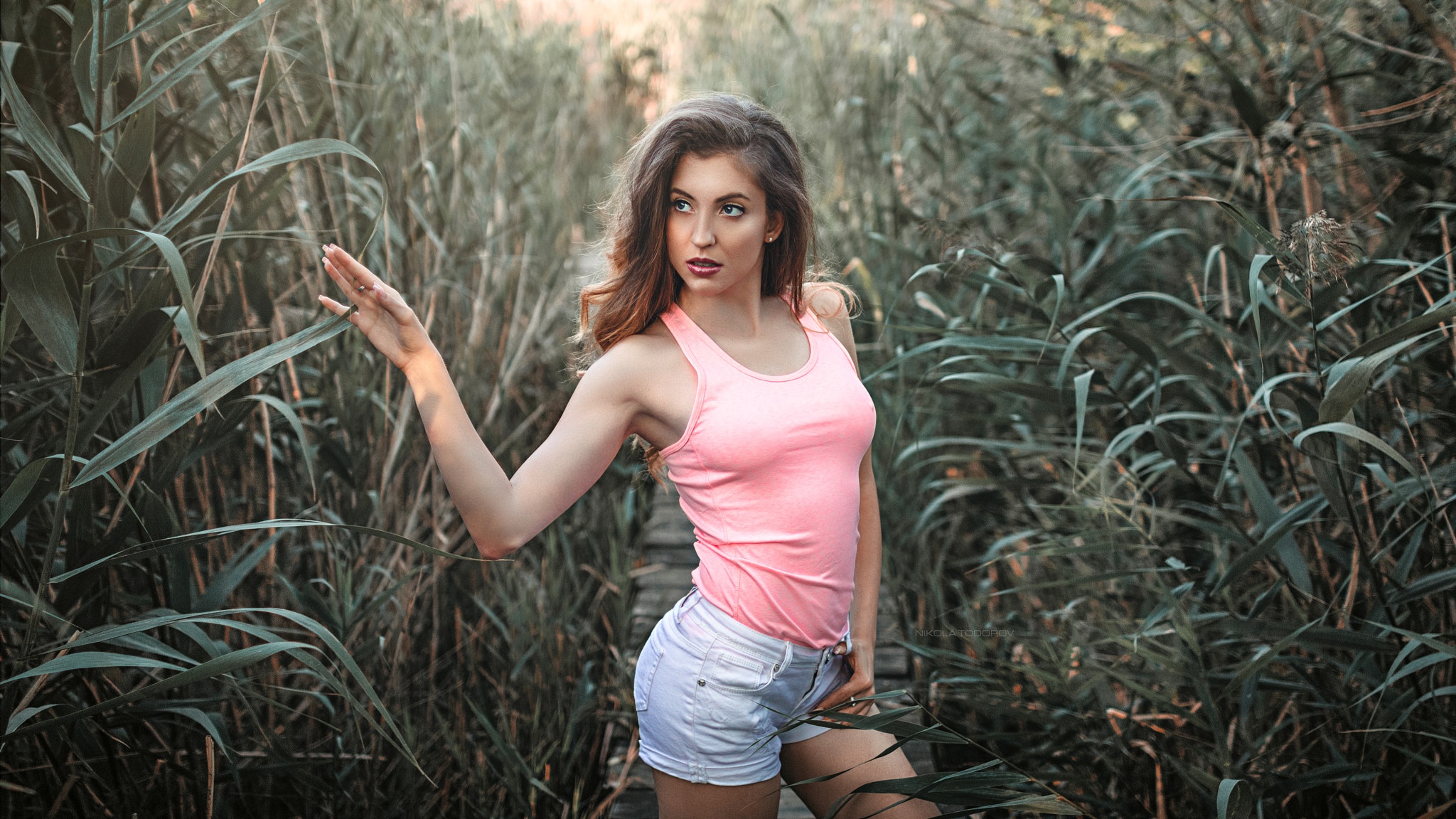 Women Model HD Wallpaper by Nikola Todorov