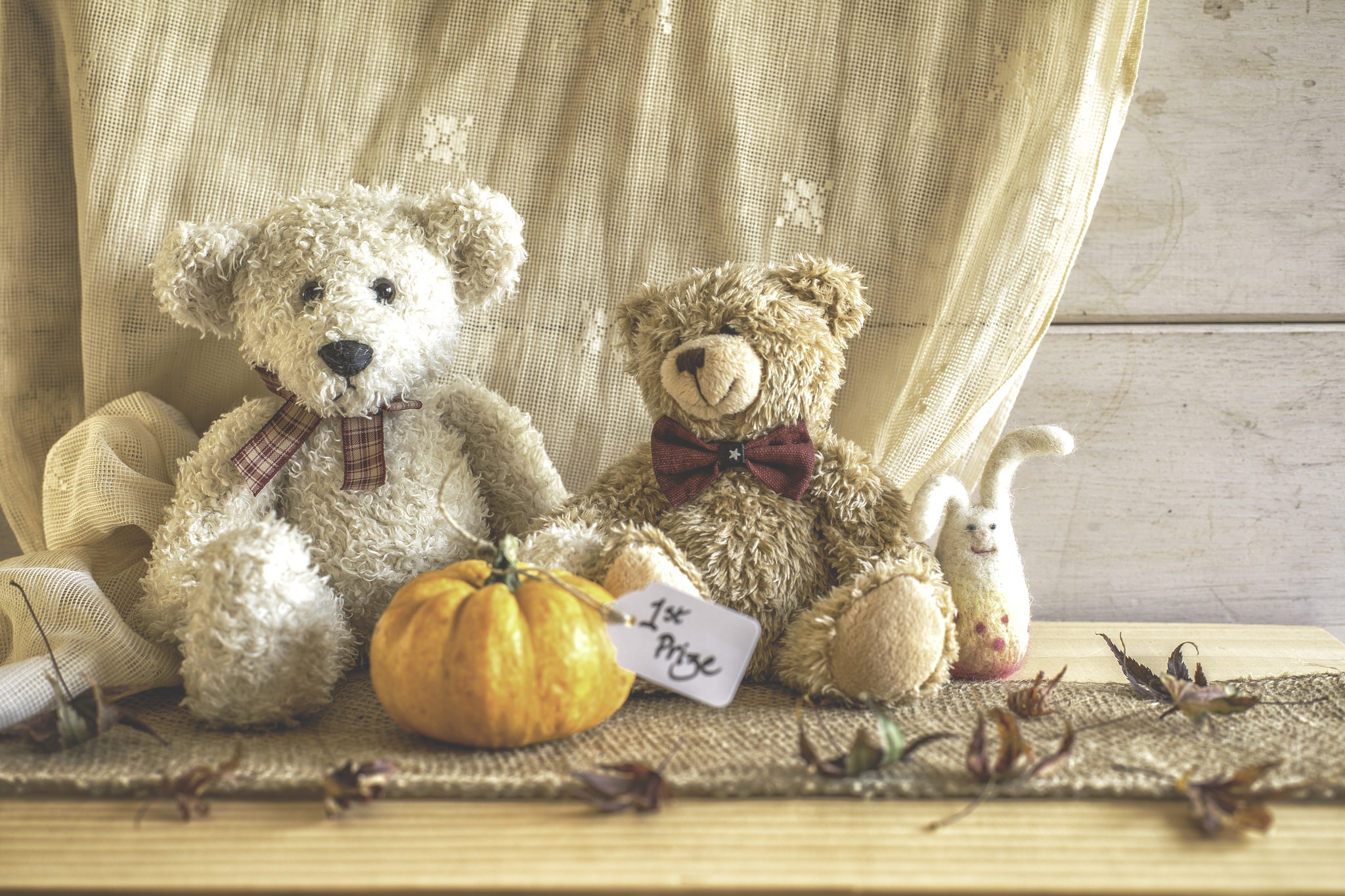 Teddy bears with a first prize pumpkin