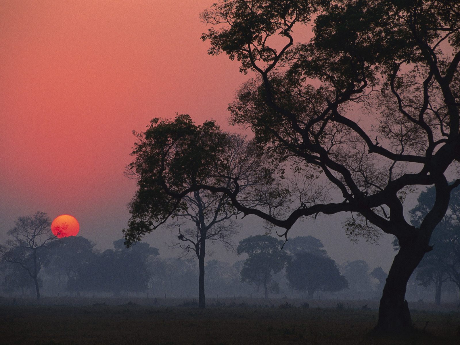 Serene Nature Sunset HD Wallpaper