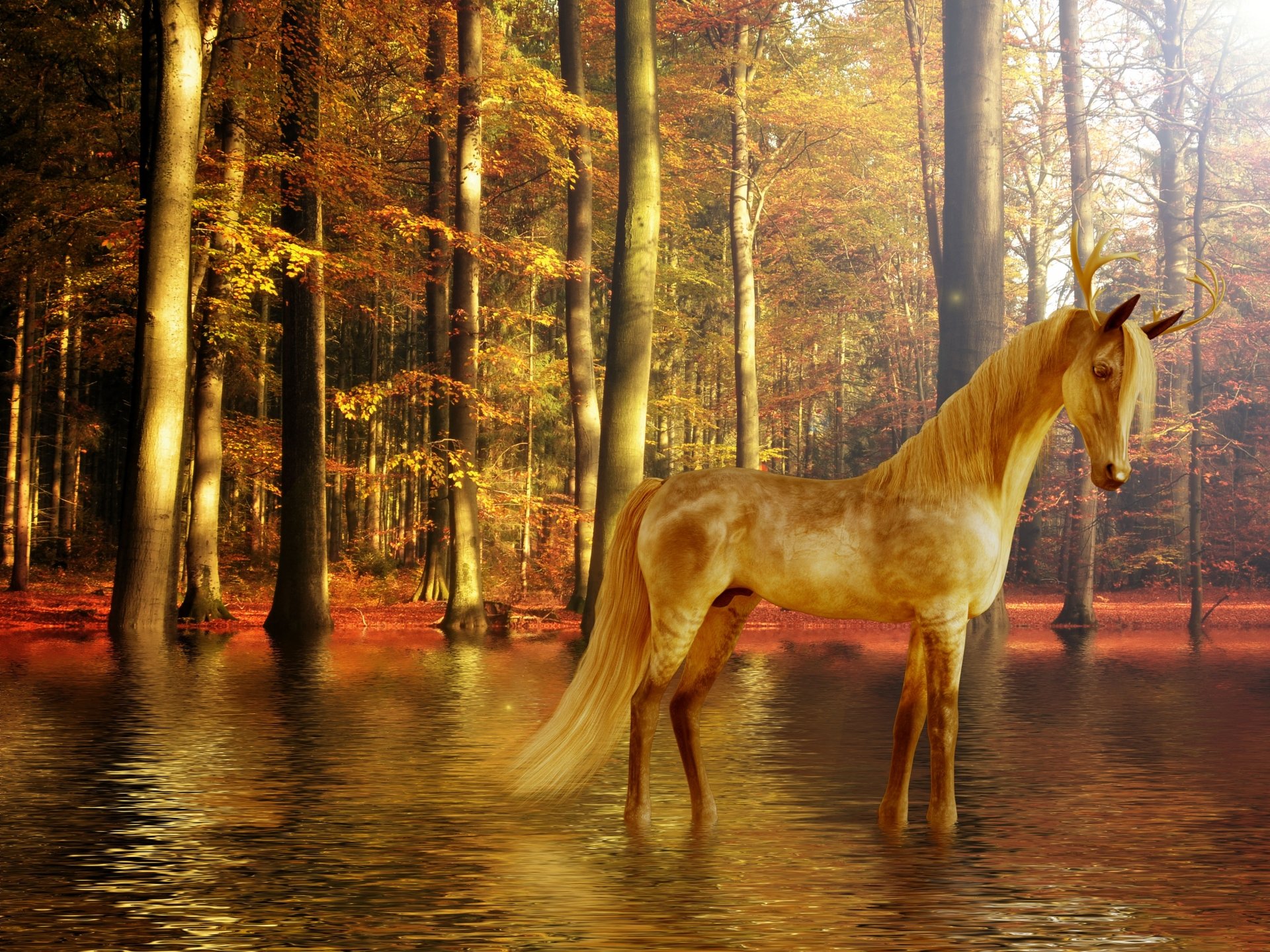 Download Water Forest Animal Artistic 4k Ultra HD Wallpaper by ...