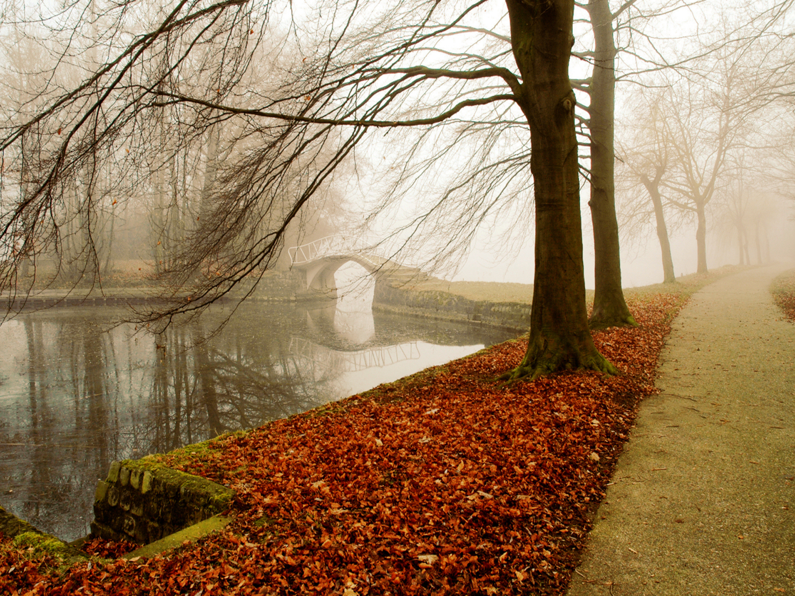 Misty Autumn Pathway: Serene Nature Landscape HD Wallpaper