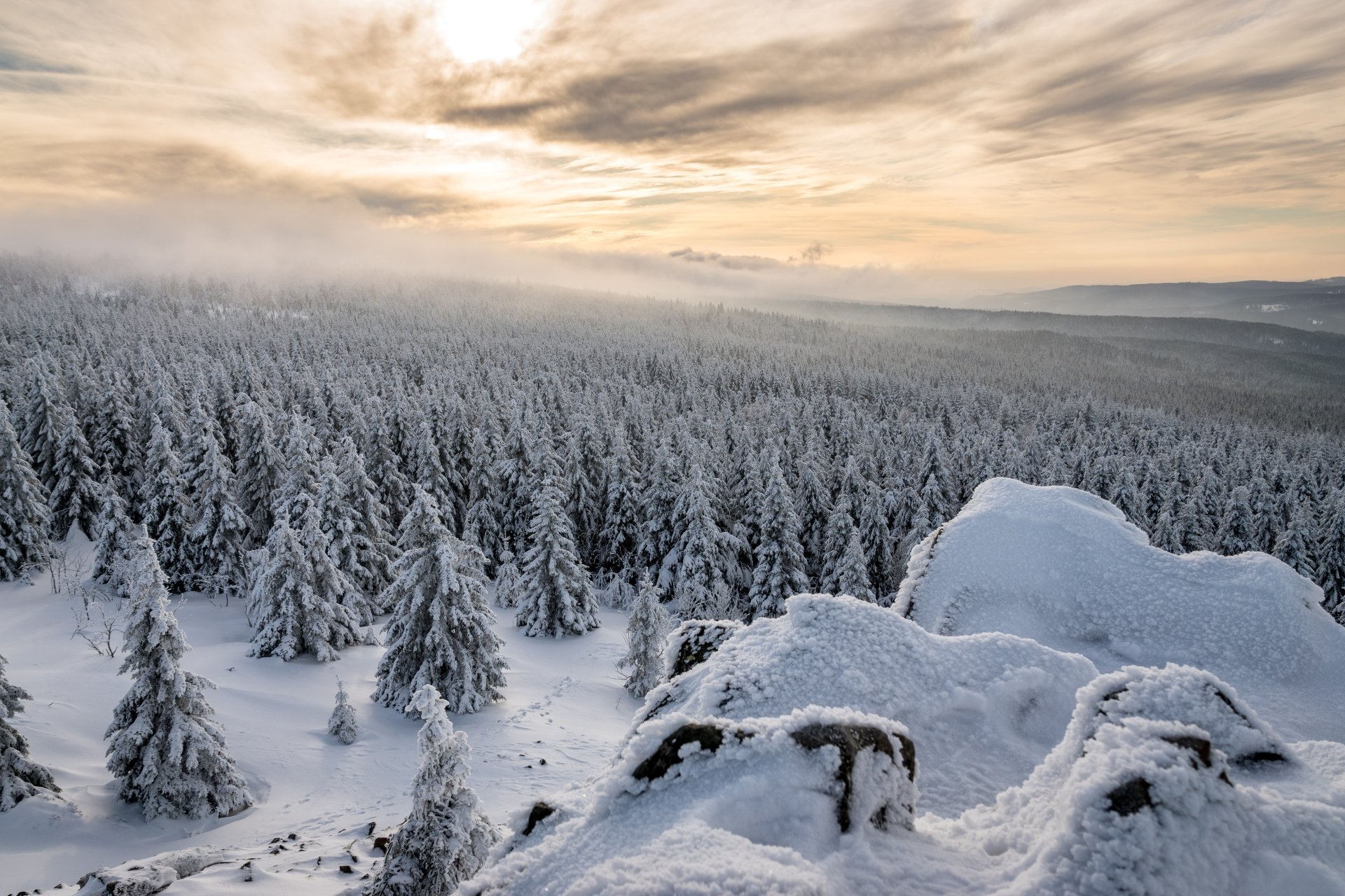 5K Ultra HD: Winter Forest — Snow-Cloaked Landscape | 6000x4000 ...