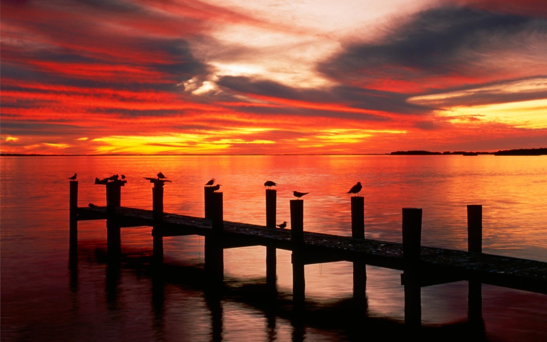 Download Silhouette Bird Pier Nature Sunset HD Wallpaper